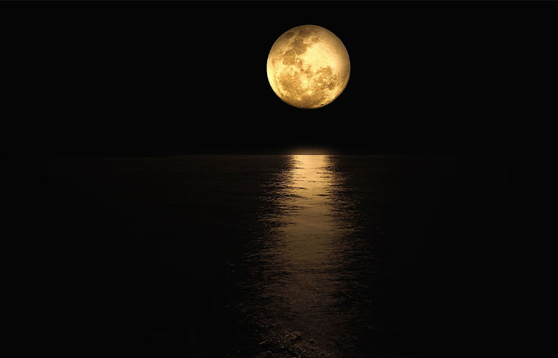 Brighton Moon Bathing and Salutations | Sussex Exclusive