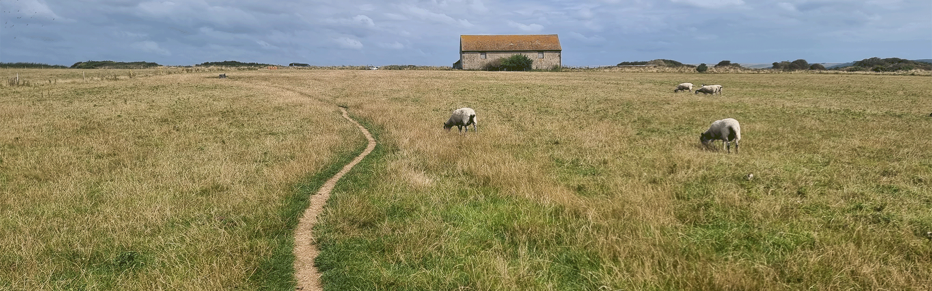 Long Distance Sussex Walks and Sussex Trails | Sussex Exclusive