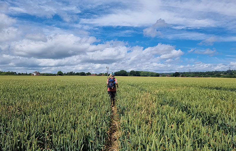 Serpent Trail Route: Cocking to Petersfield | Sussex Exclusive