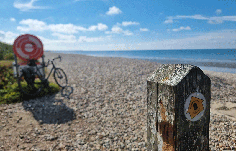 Salt marshes & coastal paths, seaside retreats, a historic house & some ...